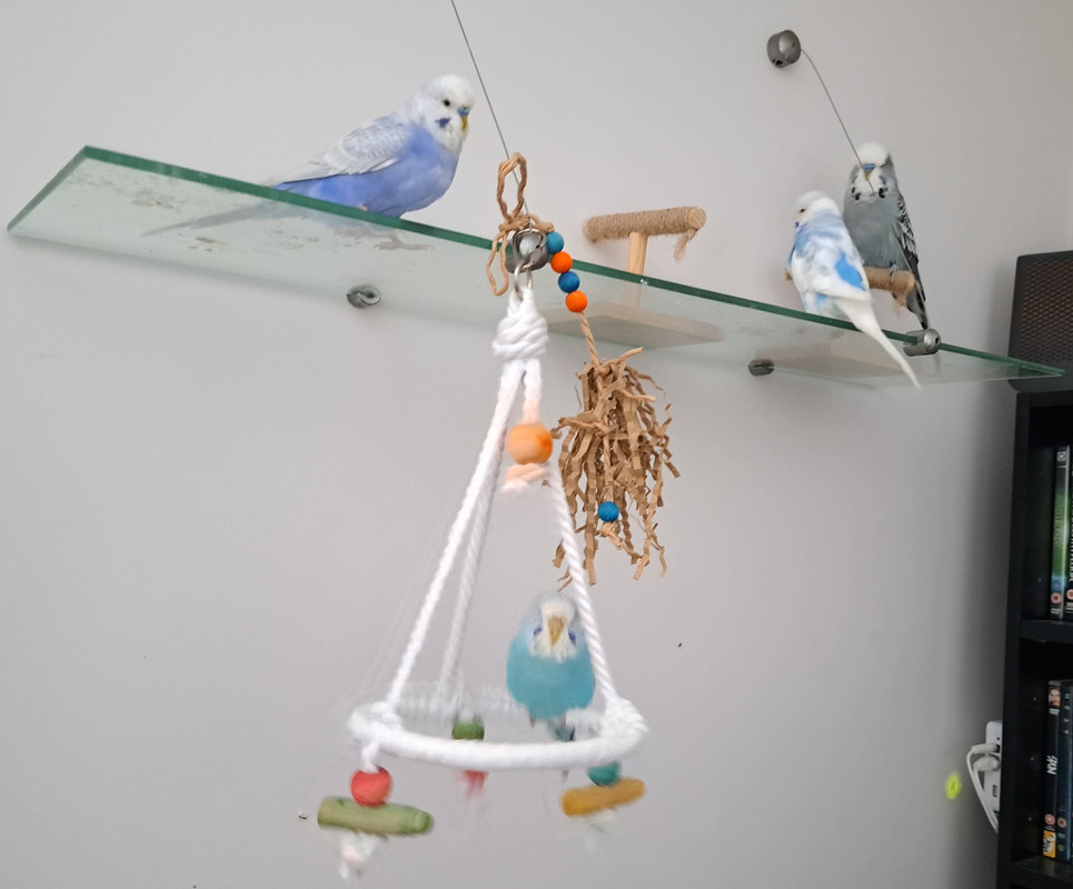 20221030 143938 — Postimages