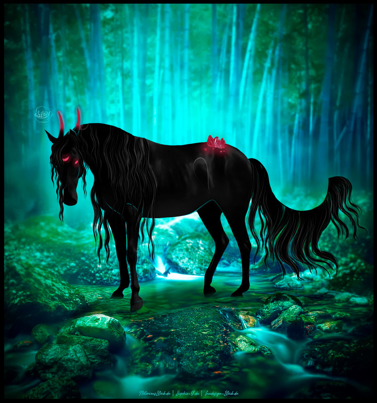 Lost LINK — Postimages