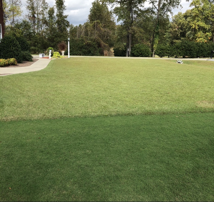 Darkest genetic color -seeded bermuda varieties | Lawn Care Forum