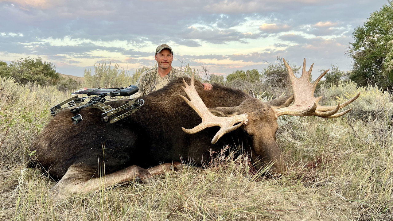 Moose? - 24hourcampfire