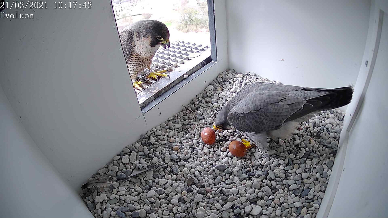 21 3b — Postimages