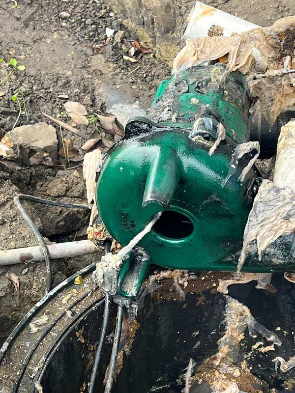 E481 Bafe 9 Fd7 4 C2 D B835 C5 E50732744 F Postimages