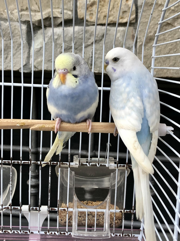 367 EAF38 91 ED 4891 97 DA FF7 F53452 F33 — Postimages