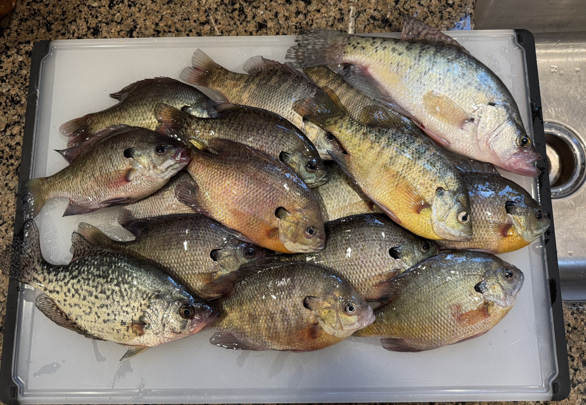 IMG 1178 — Postimages