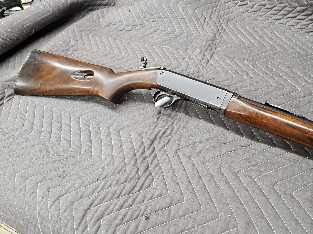 Remington Speedmaster 241 22lr