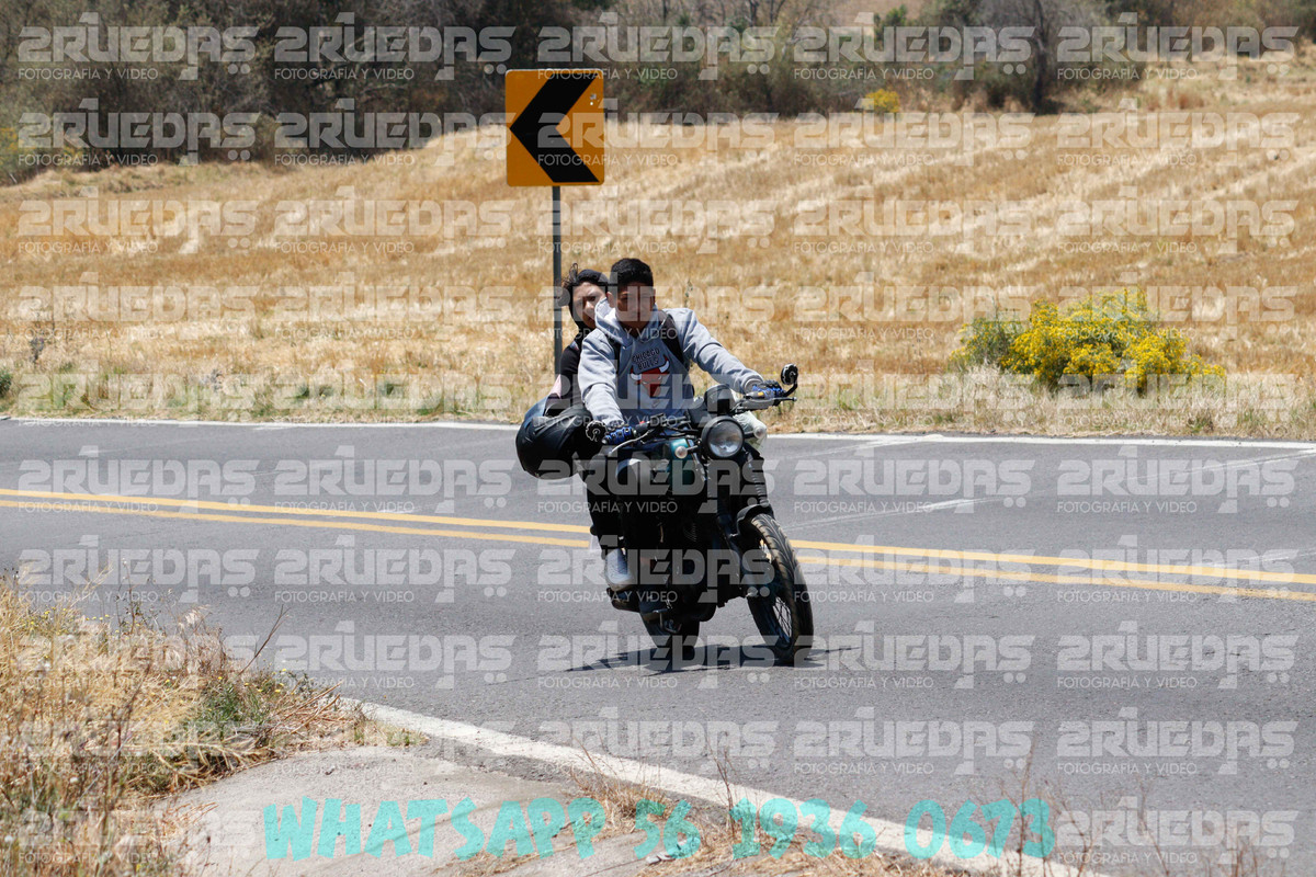 MG 0998 — Postimages