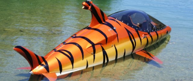 New Shark Jet Ski - The Round Up