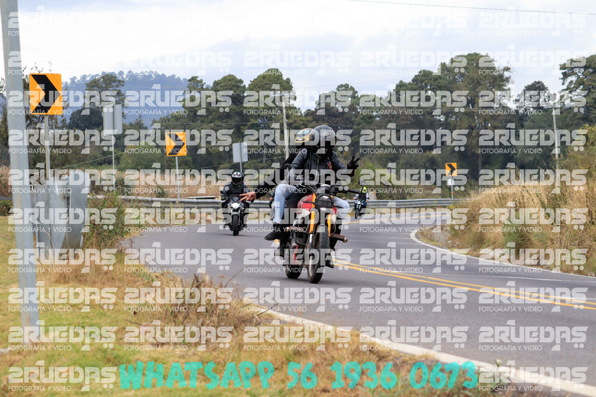 MG 0904 — Postimages