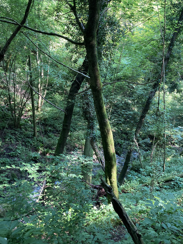 IMG 5643 — Postimages