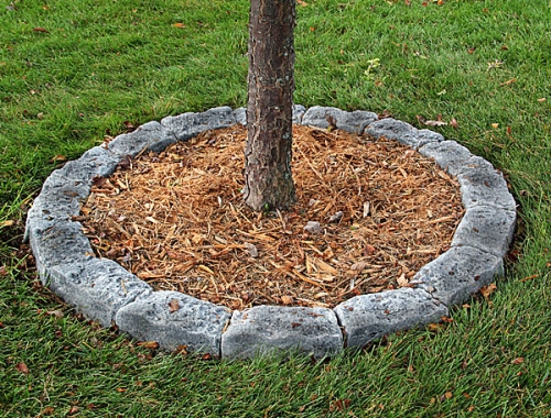 Tree base landscape ideas | Lawn Care Forum