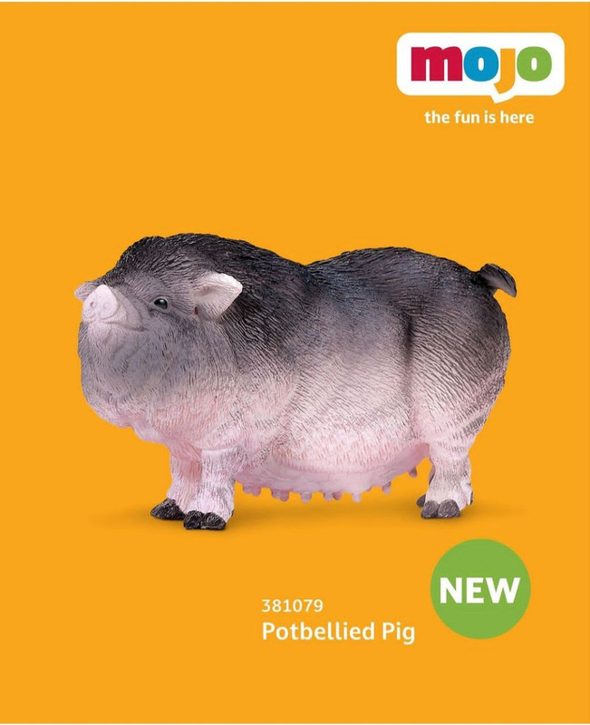 IMG 20231215 213807 668 — Postimages