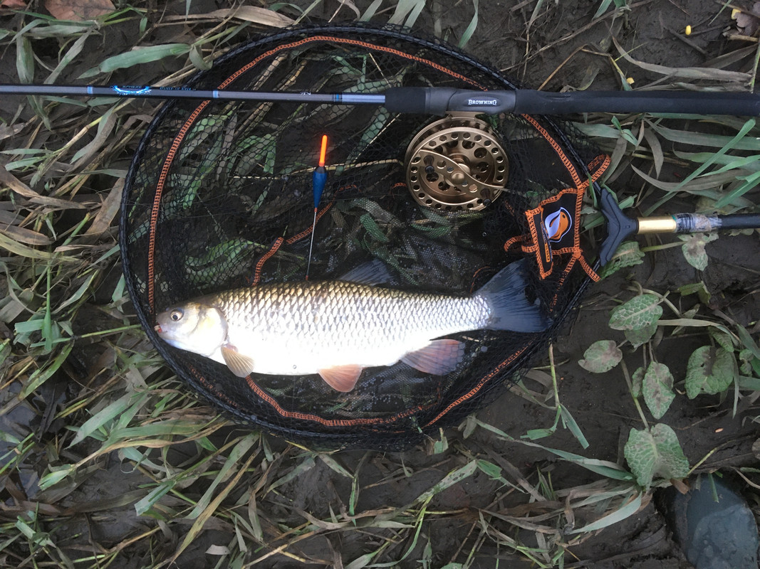 IMG 0876 — Postimages