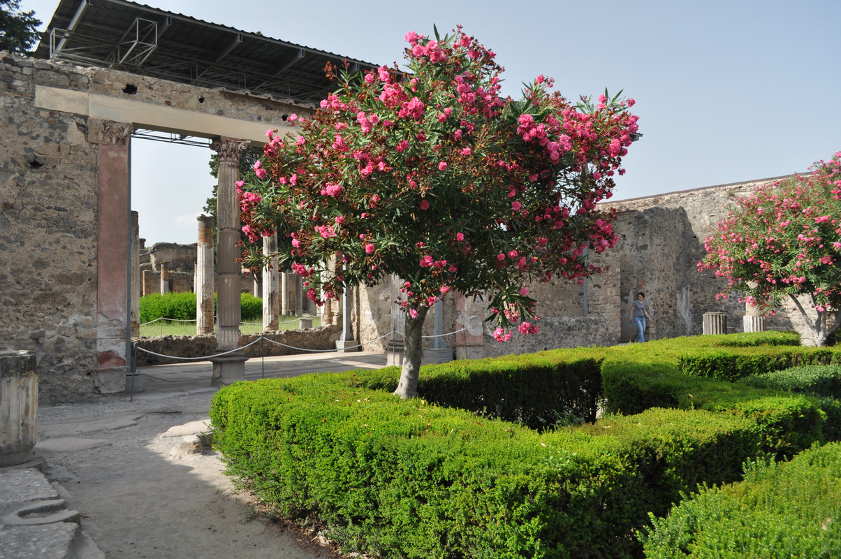 DSC 4672 — Postimages