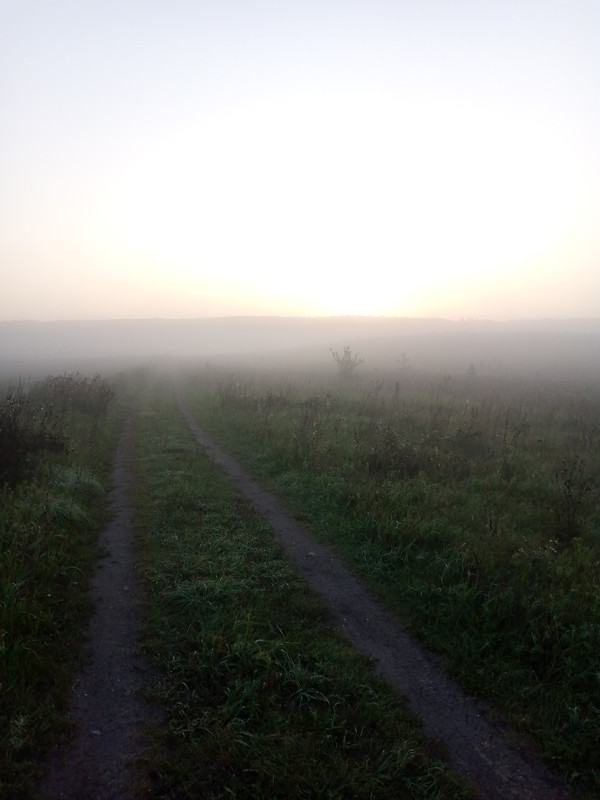 IMG 20240827 061334 269 — Postimages