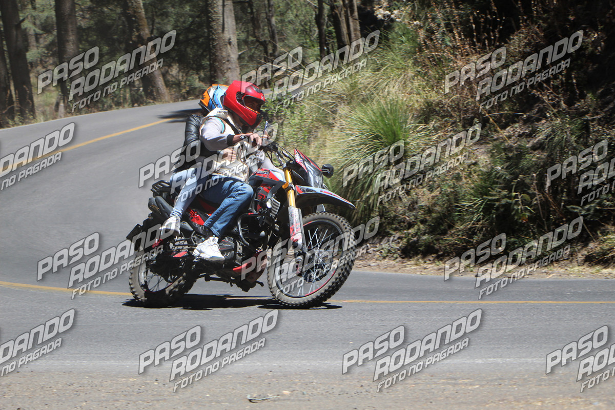 IMG 2628 wm 2284273 1 watermarked — Postimages
