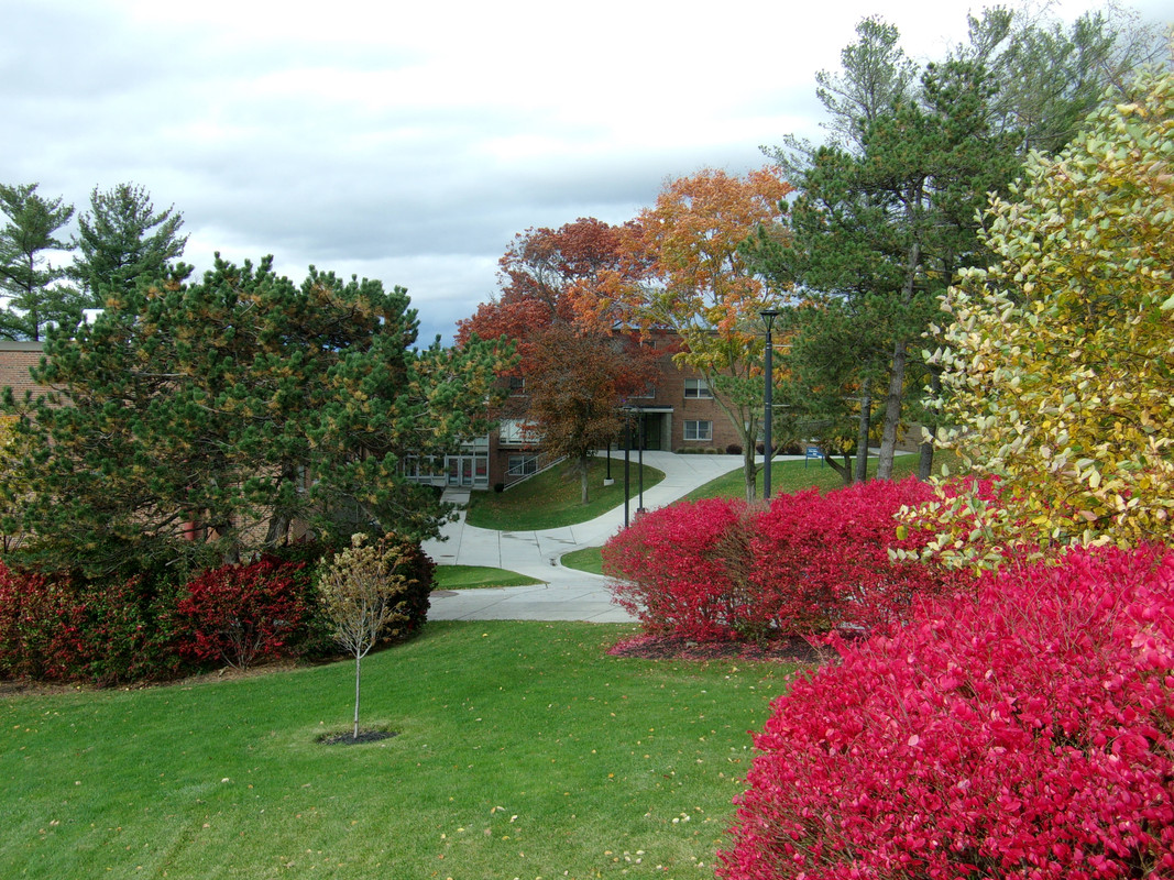 Campus Residential and red bush — Postimages