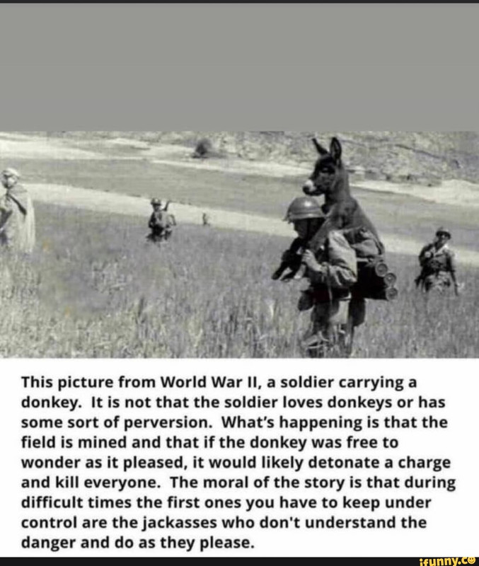 Soldier Carrying Donkey — Postimages