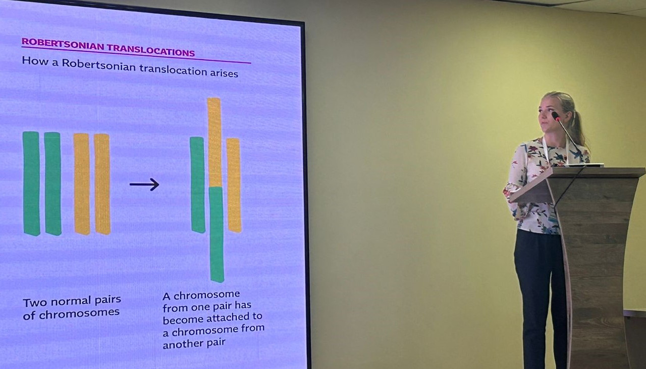 4 (1) — Postimages