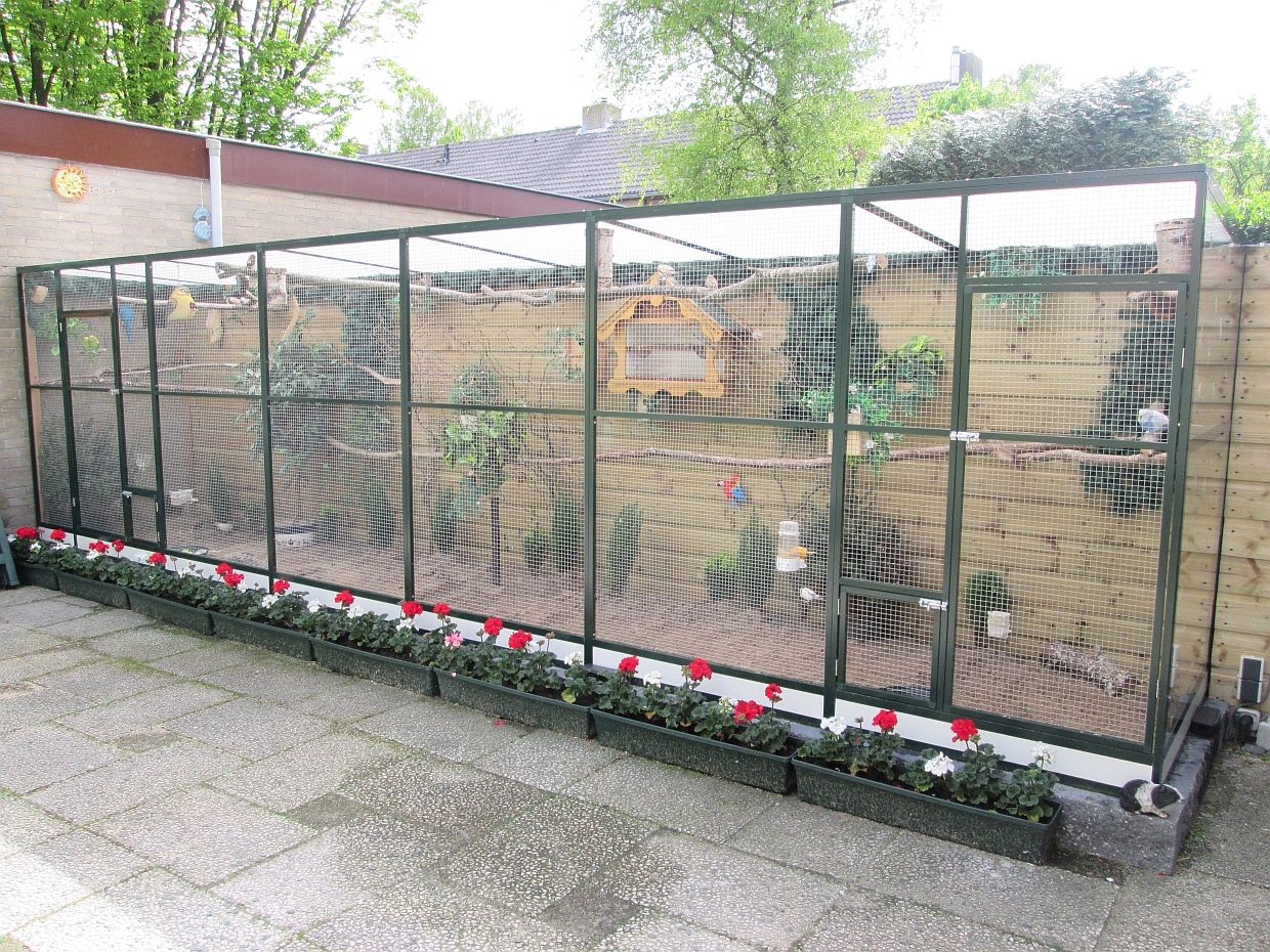 Buitenvolière — Postimages