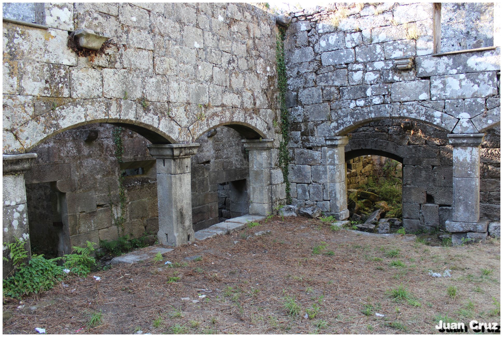 IMG 0807 Resultado — Postimages