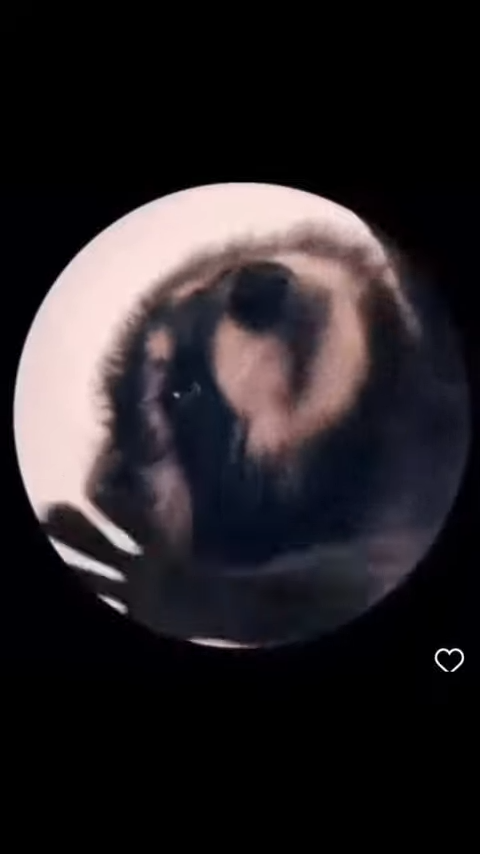 videoframe 2000 — Postimages