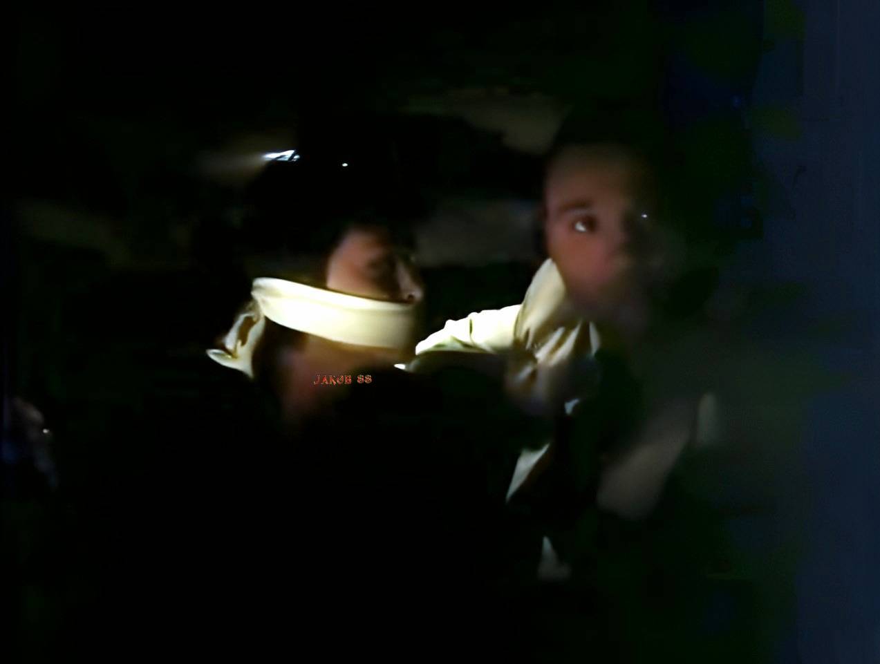 Karen Sheperd Terminator Woman 1993 — Postimages