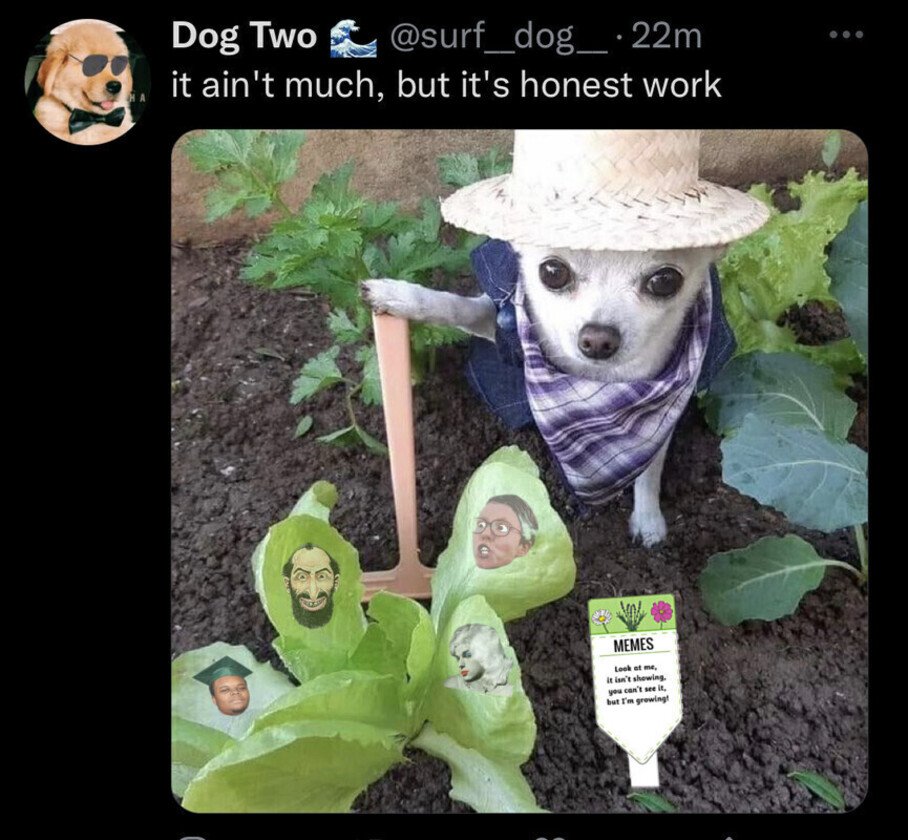 meme garden — Postimages