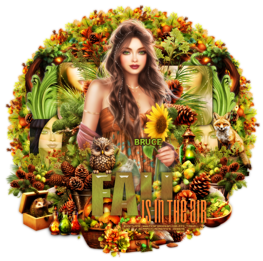 Bruce Fall in the air tag — Postimages