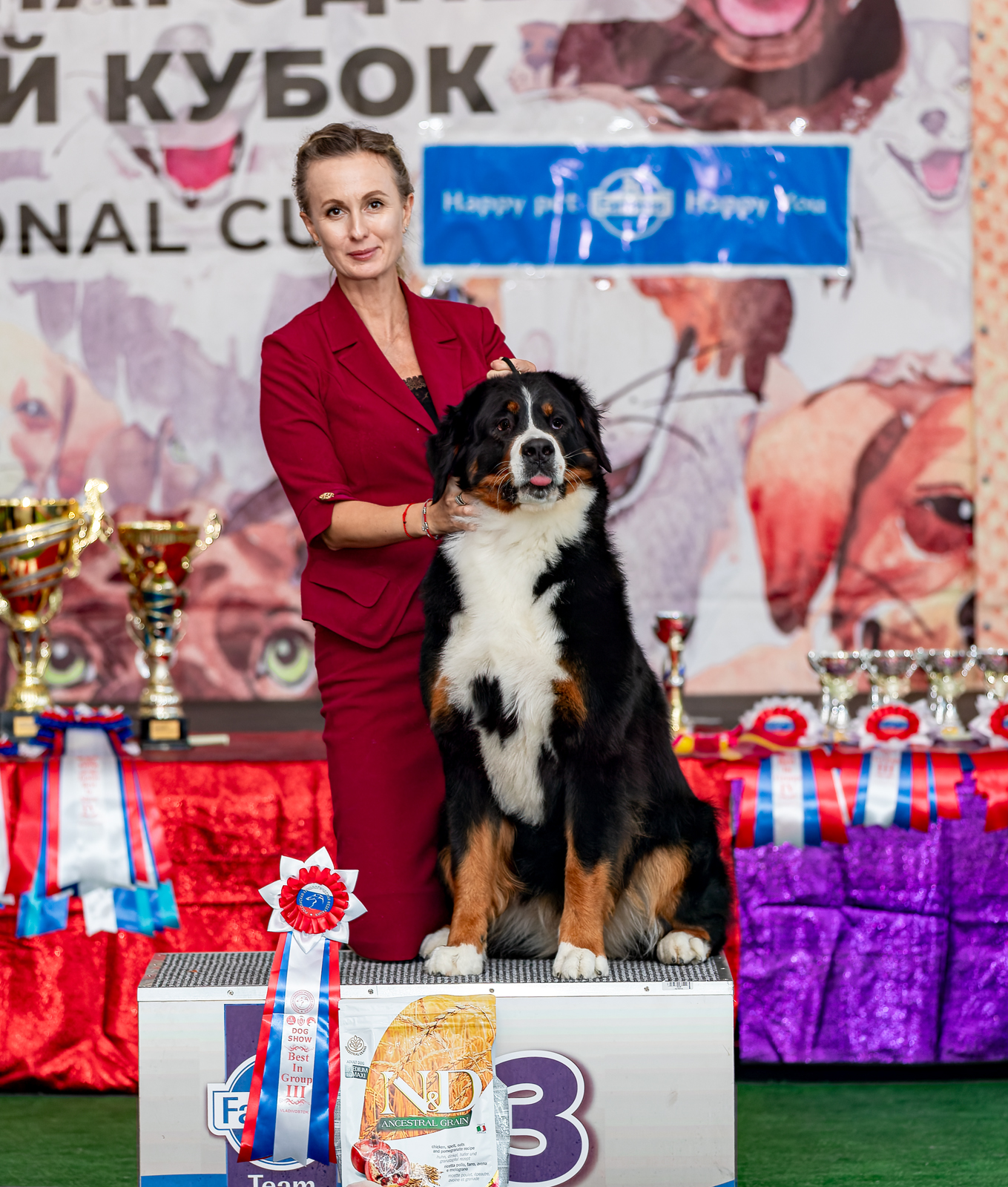 01 555 — Postimages