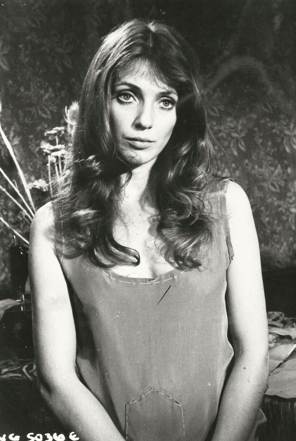 joanna shimkus a67 — Postimages