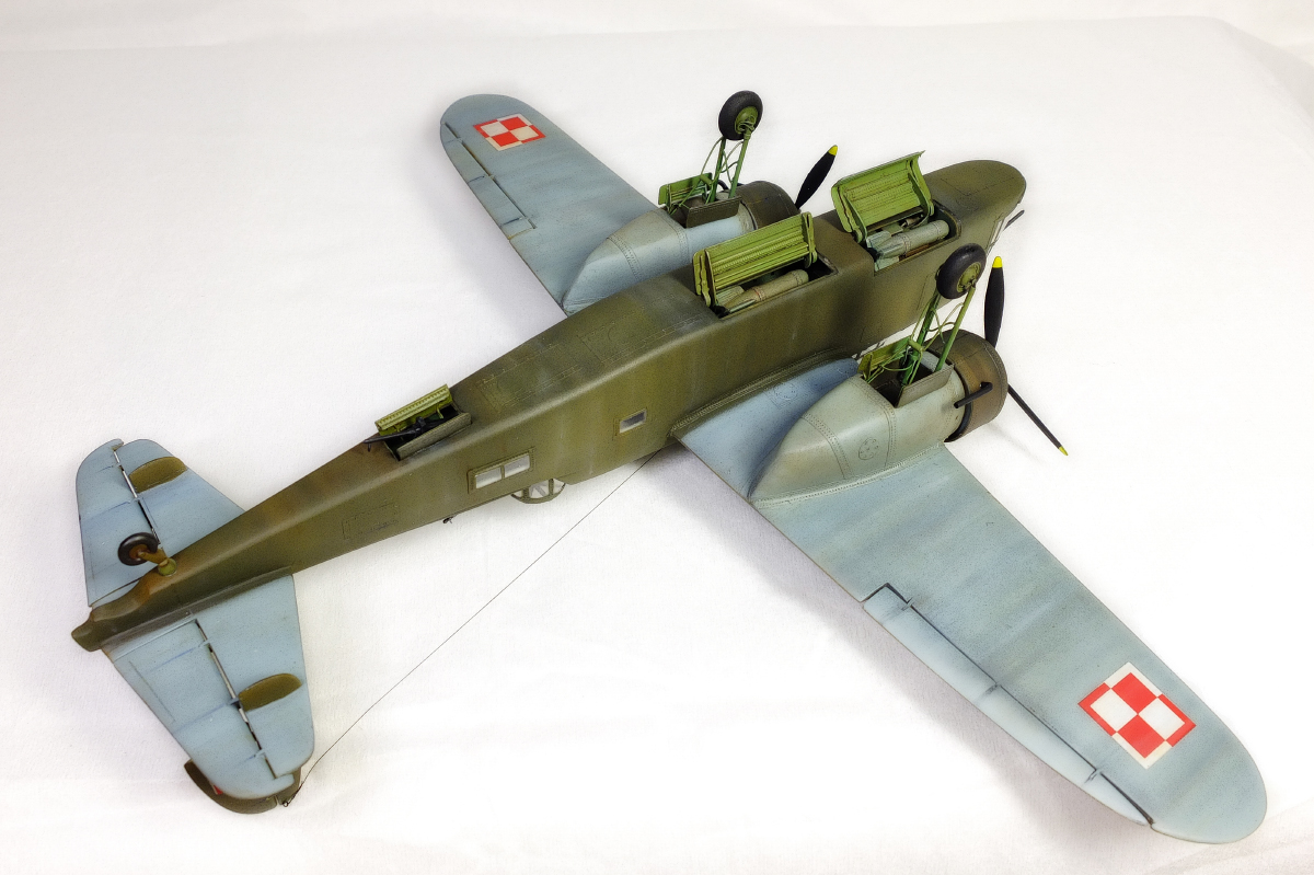 LWS-6 ZUBR - Ready for Inspection - Aircraft - Britmodeller.com