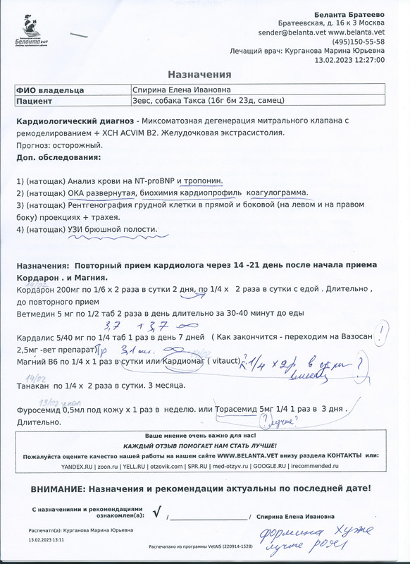 13 02 23 1 — Postimages