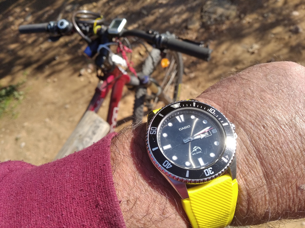 IMG 20230219 151255 — Postimages