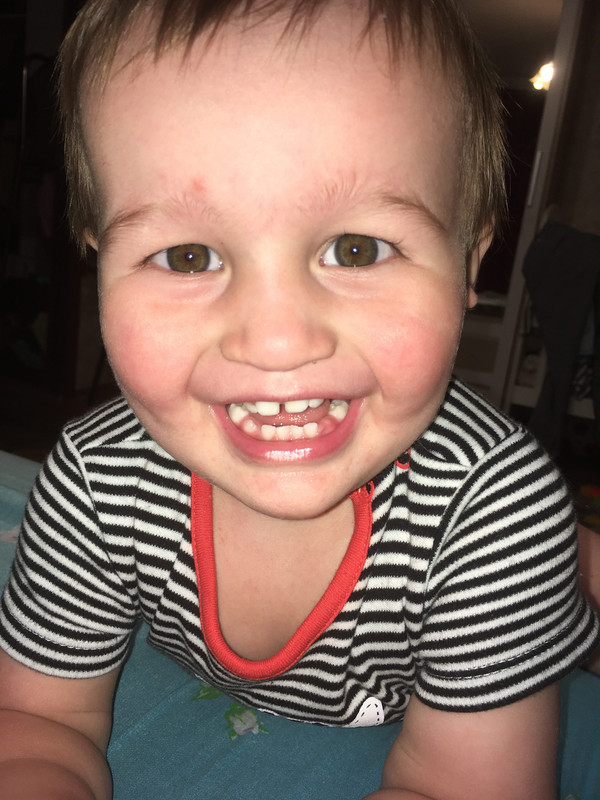 IMG 9062 — Postimages