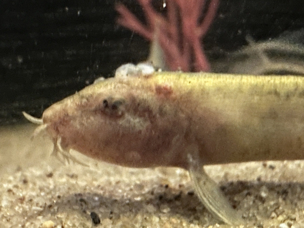 IMG 3010 — Postimages