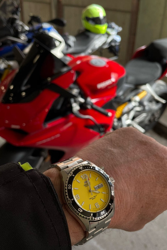 IMG 9941 — Postimages