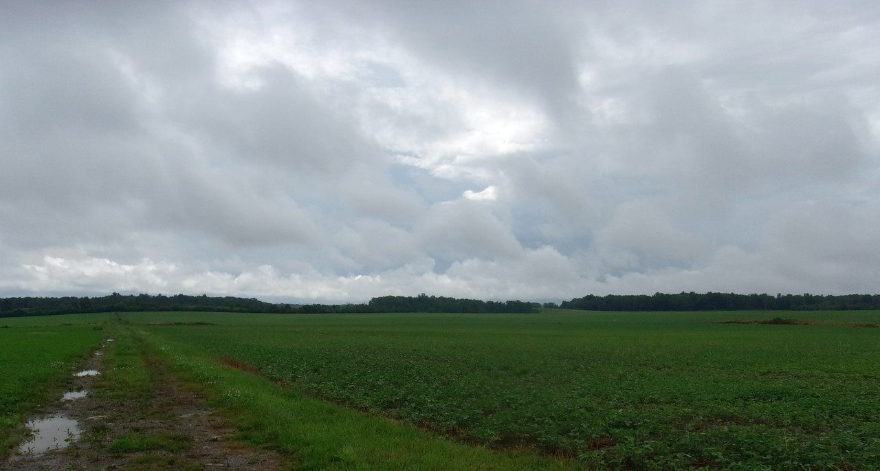 RunningAHEAD - Topic: July - Run through the sprinkler