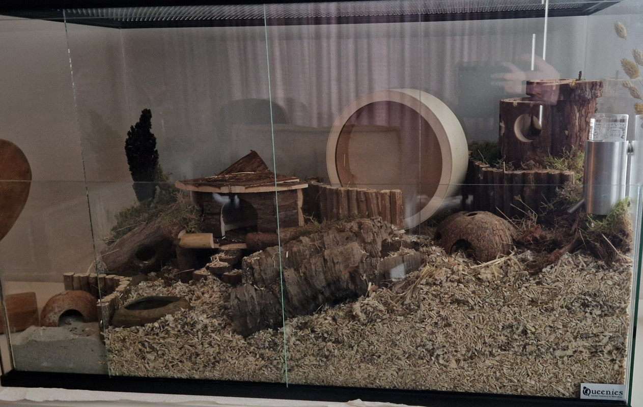 20230326 180026 — Postimages