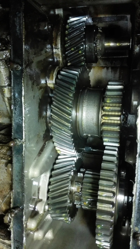 TAPA CARTER TRANSFER — Postimages