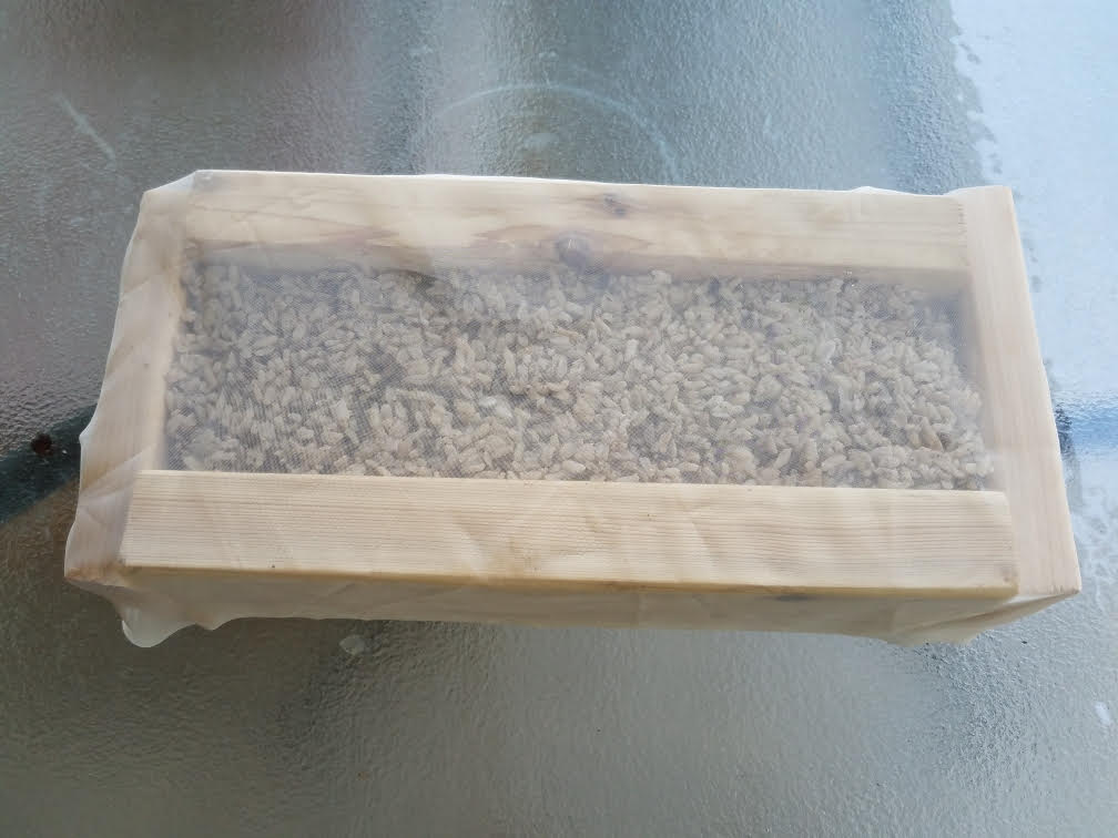 KNF and IMO "Indigenous Microorganisms" | Rollitup