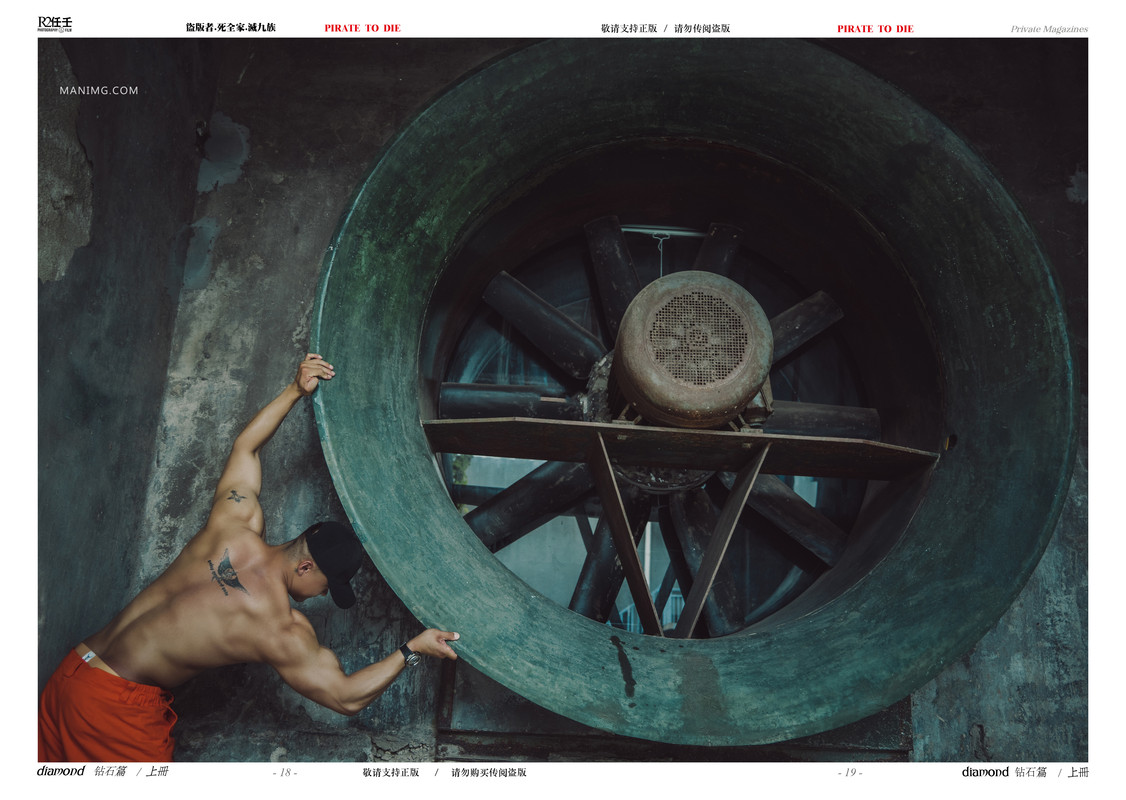 HORMONE Issue 14 B 1 (8) — Postimages