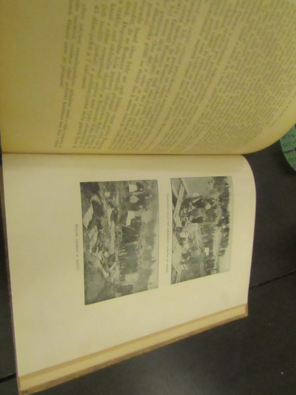 IMG 4181 — Postimages