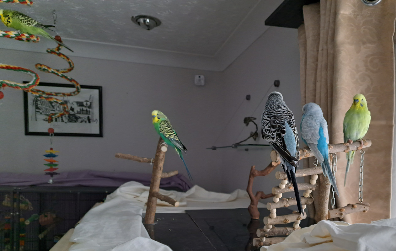 20230304 101502 — Postimages