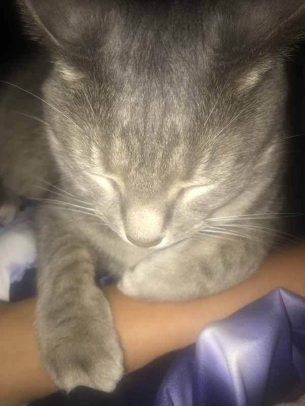 ADBA5699 B0 E5 430 D BB53 507 B29 D63 E60 — Postimages