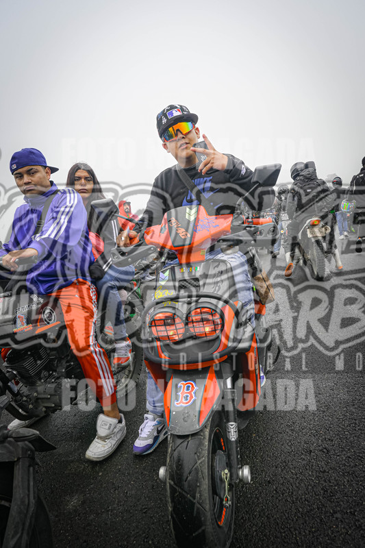 pald2 106 — Postimages