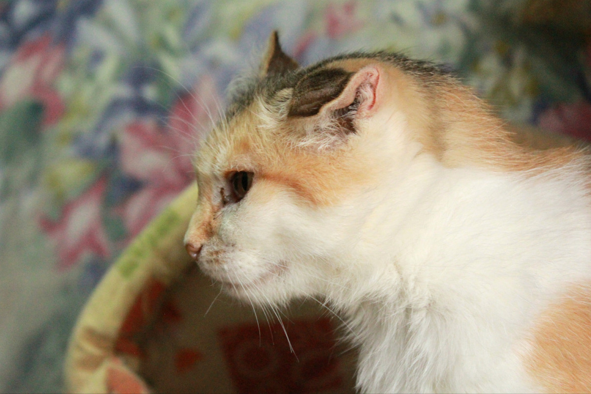 IMG 0563 — Postimages