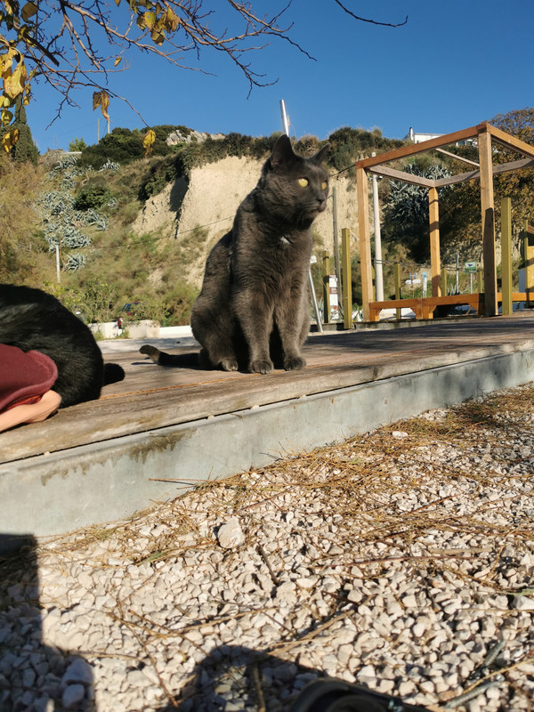 IMG 20231217 132217 — Postimages