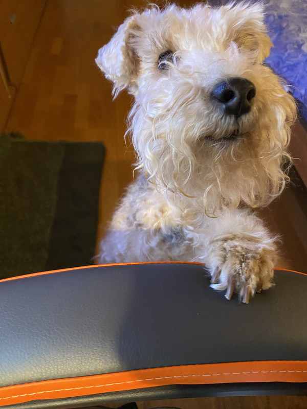 IMG 1841 — Postimages