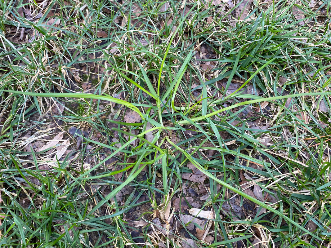 IMG 1982 — Postimages