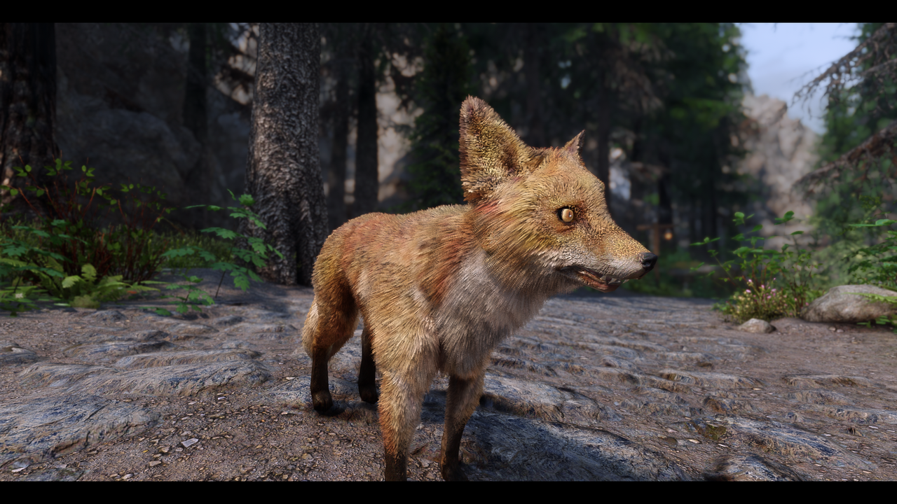 Work-in-progress blending at Skyrim Special Edition Nexus - Mods and ...